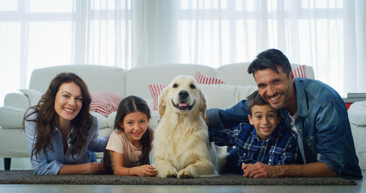 Pet-friendly Home Design: What You Can Do - Top Android Gadget